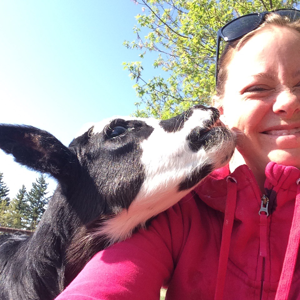 Keeping my Cool with Vegans on Twitter | View from the Ranch Porch